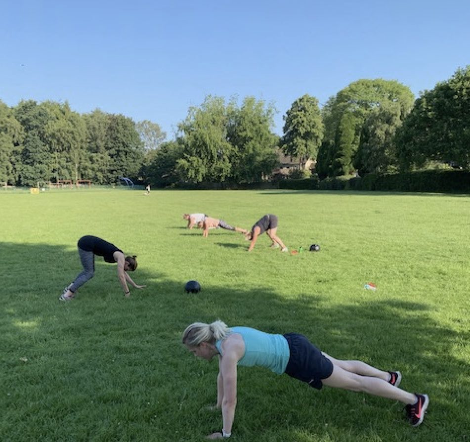 Stray becomes new gym as personal trainers adapt