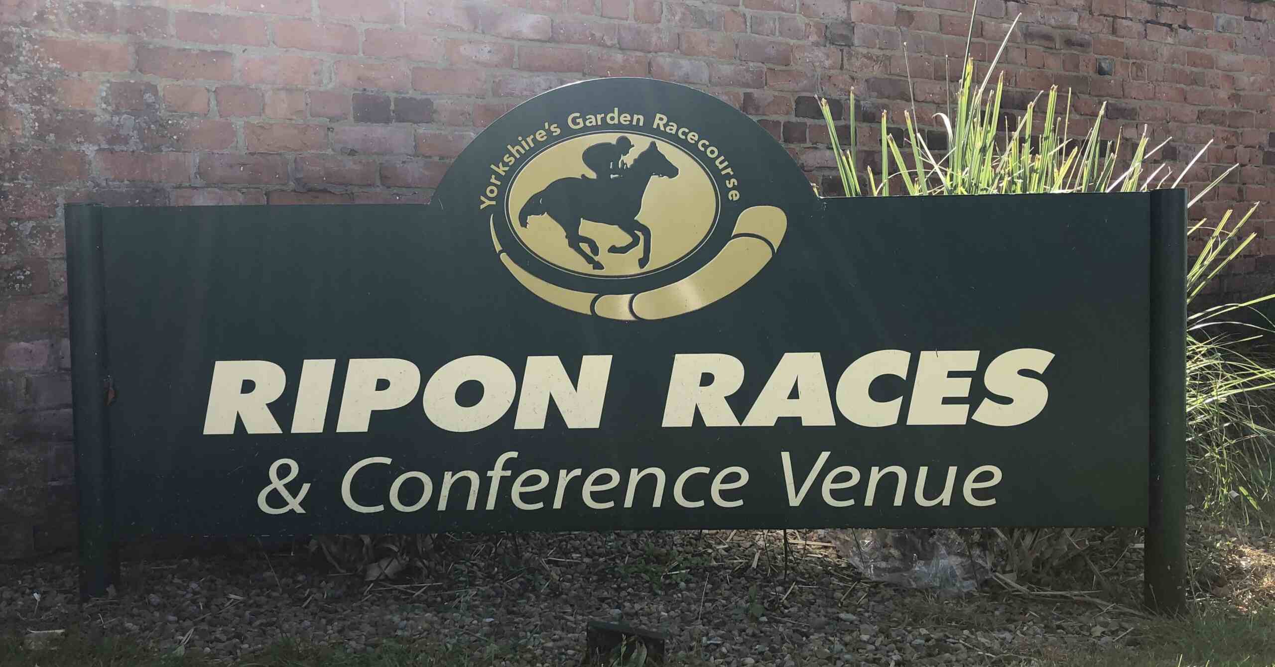 Final race of season at Ripon Racecourse