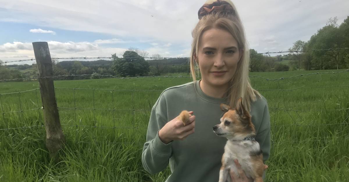 Mothering instinct of Kirkby Malzeard woman saves tiny chick