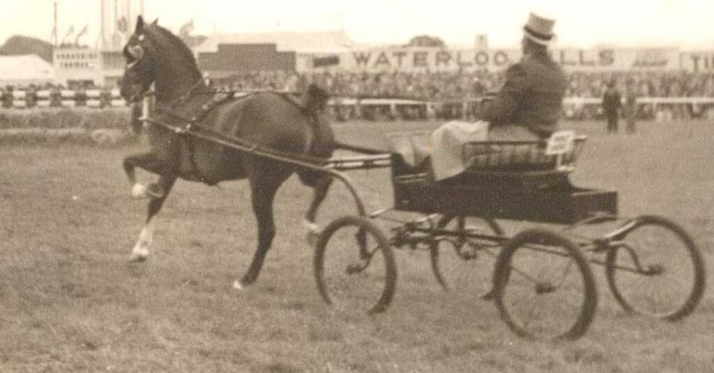 Malcolm Neesam History: The birth of the Great Yorkshire Show Ground