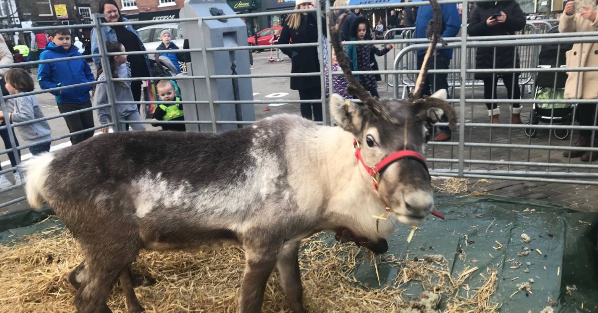 Saturday switch on for Ripon's extended Christmas lights