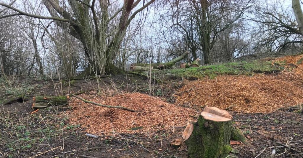 Objectors clash with Skell Valley Project over Ripon nature reserve