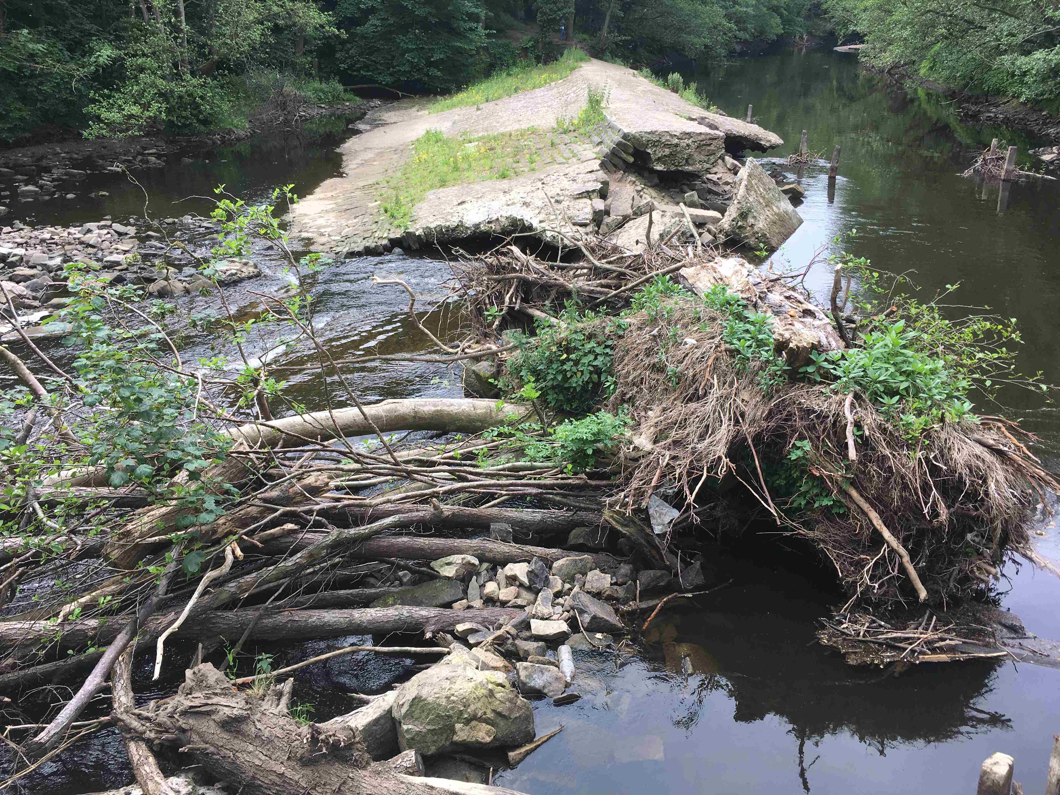 UK's largest weir removal project begins on River Nidd at Scotton
