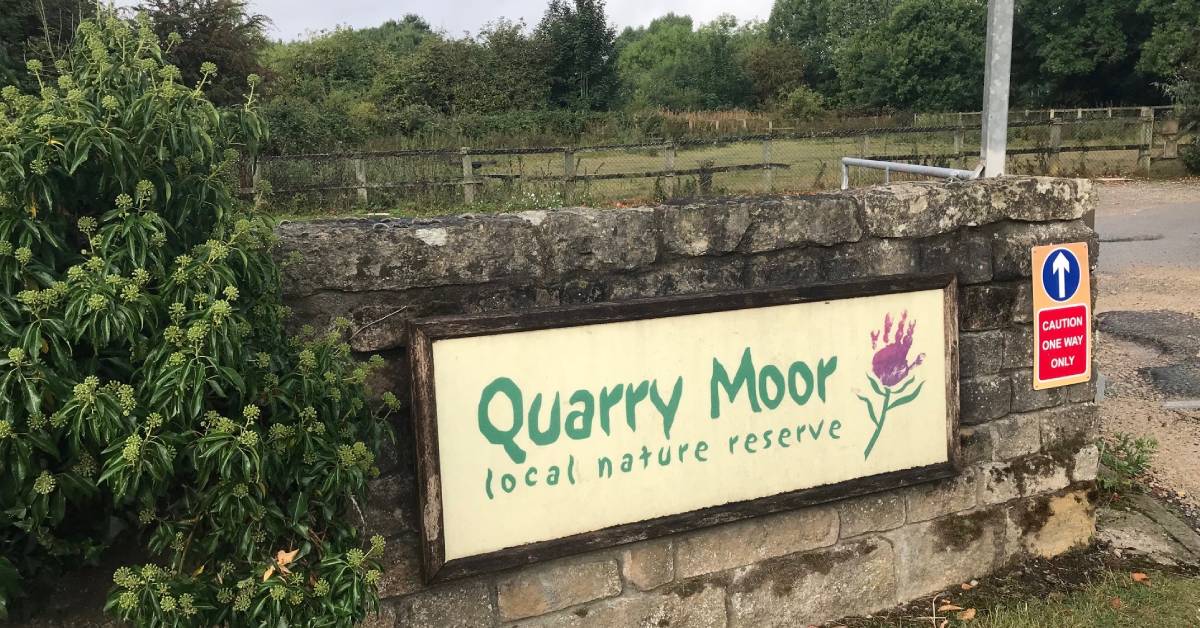 Trees to be felled at Ripon nature reserve