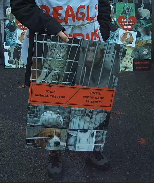 Animal rights activists march through Harrogate to Labcorp