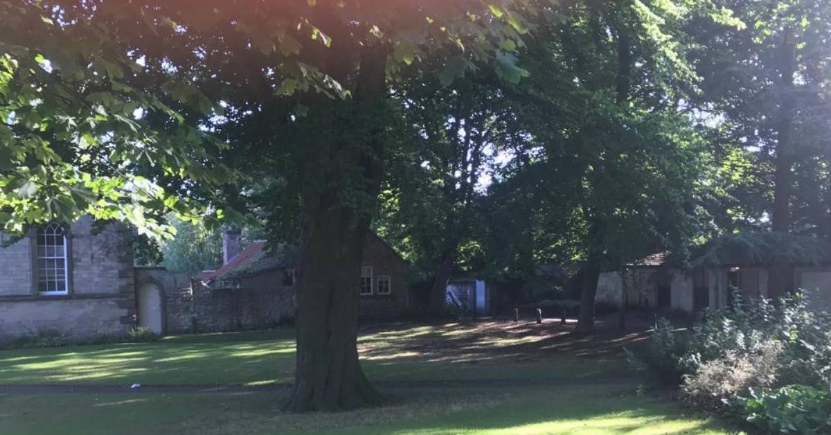 City councillors support the principle of £6m Ripon Cathedral development