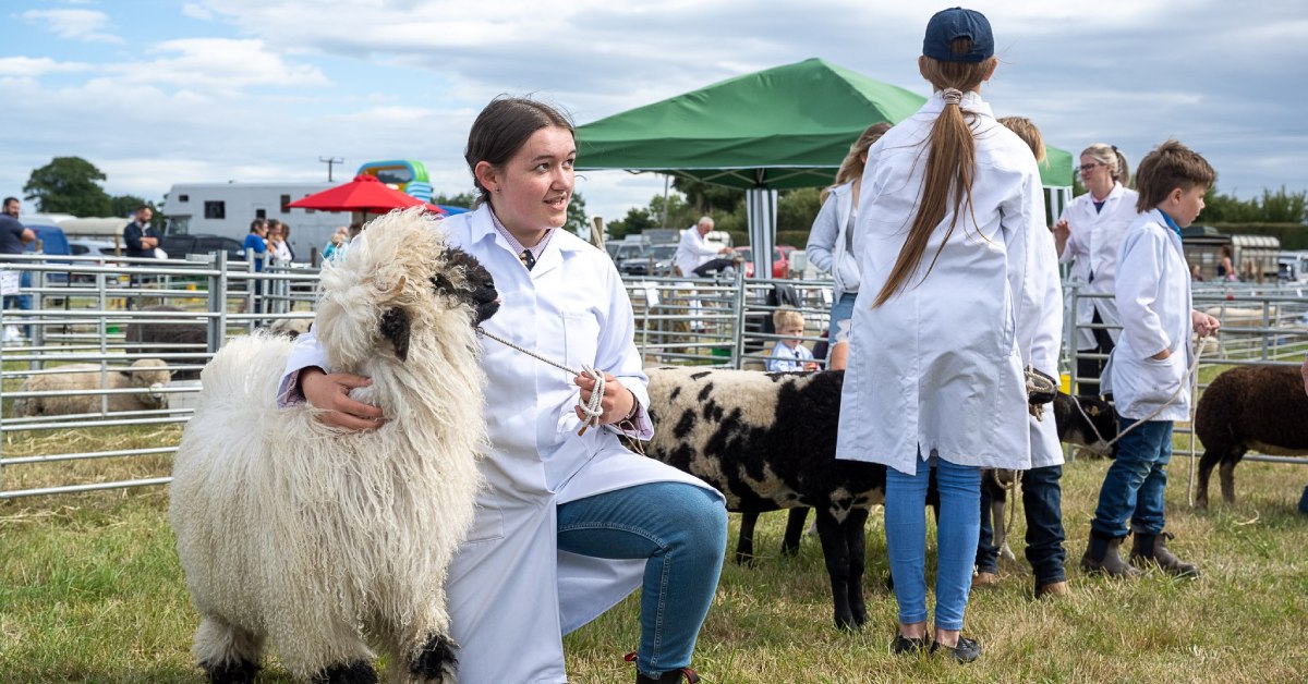 Tockwith Show directors propose one-year break after volunteers step down
