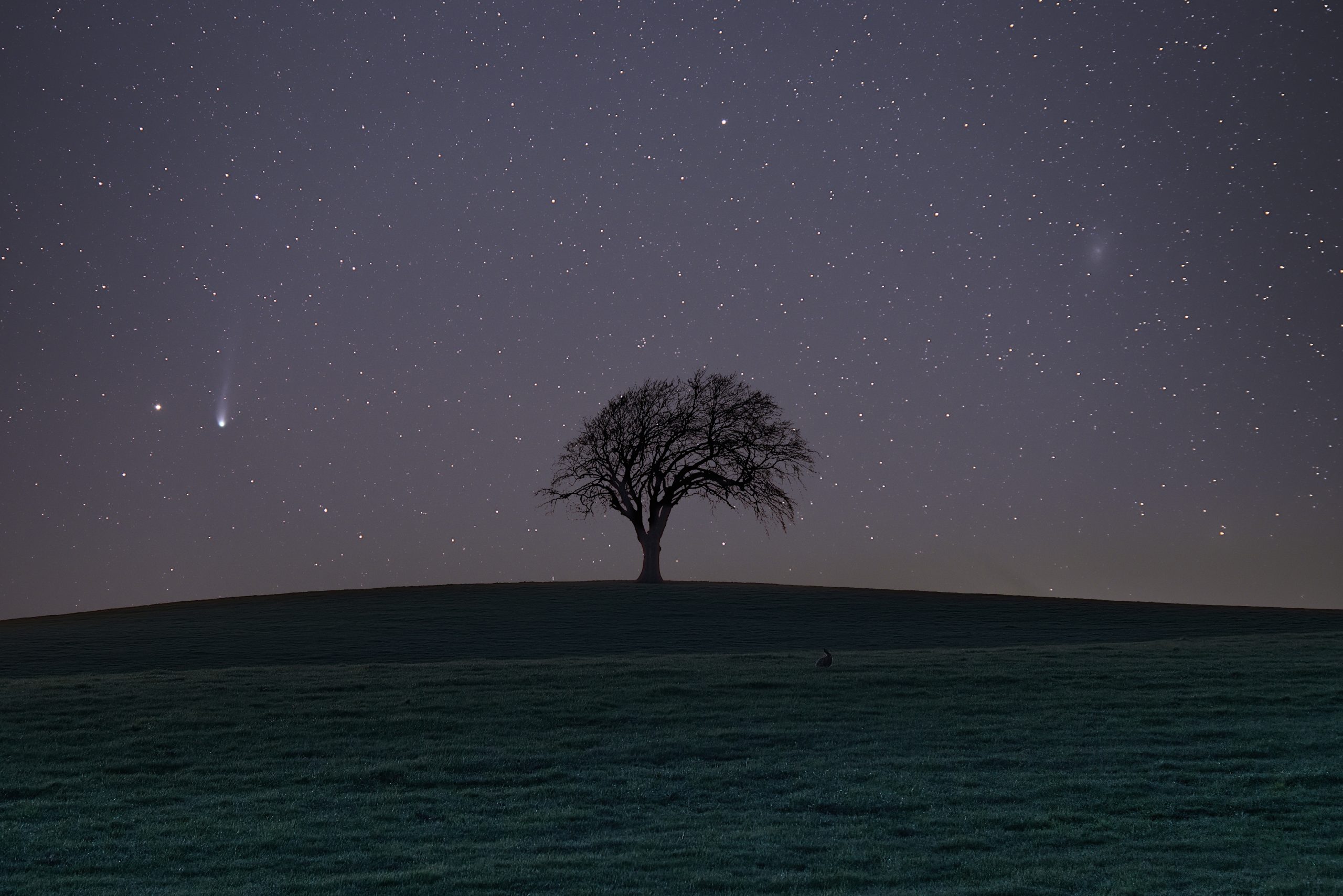 Photo of the week: a rare comet spotted near Ripon