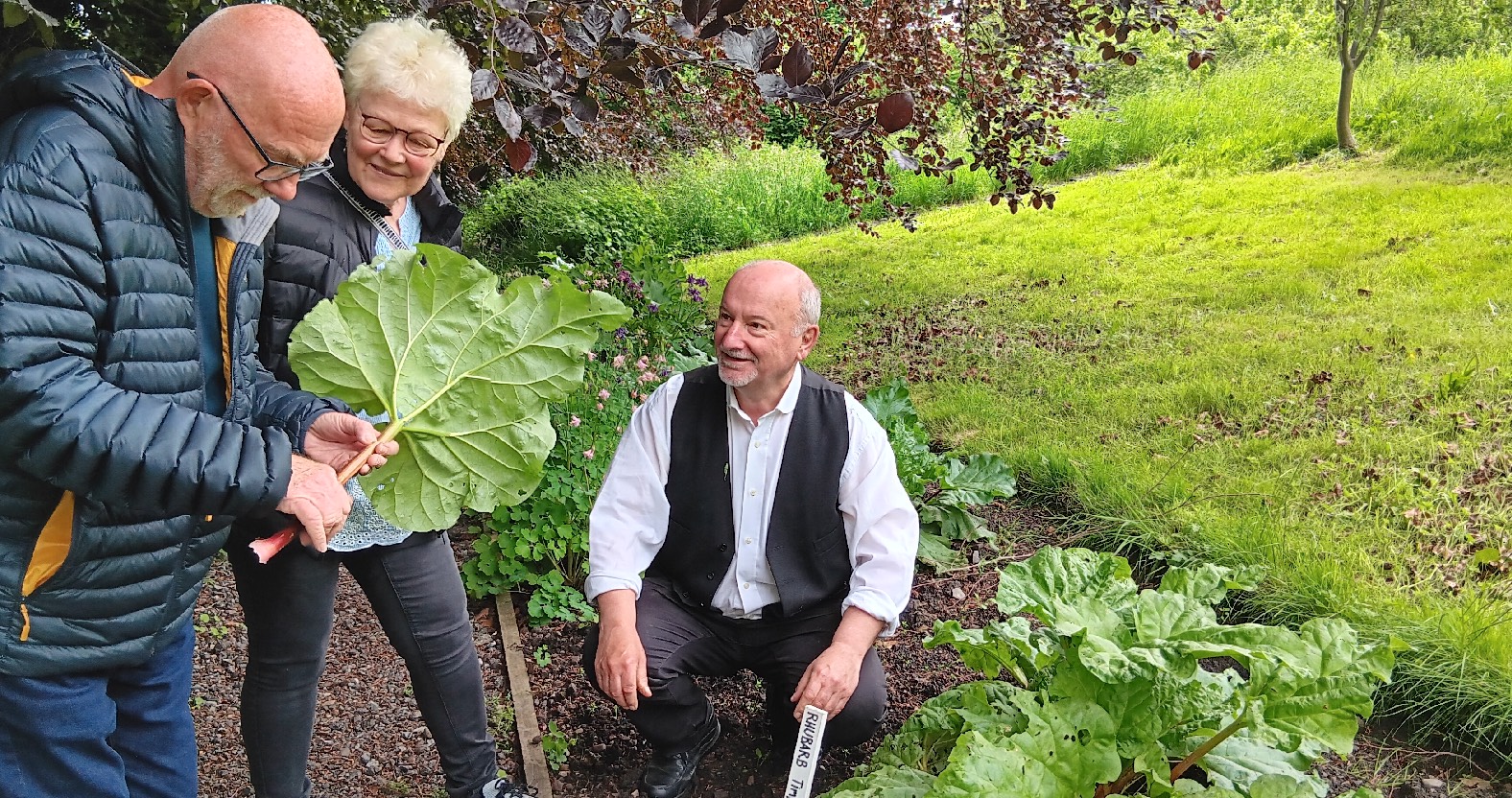Send the kids back to the workhouse this summer ‘thyme’ with Ripon Museums herb trail