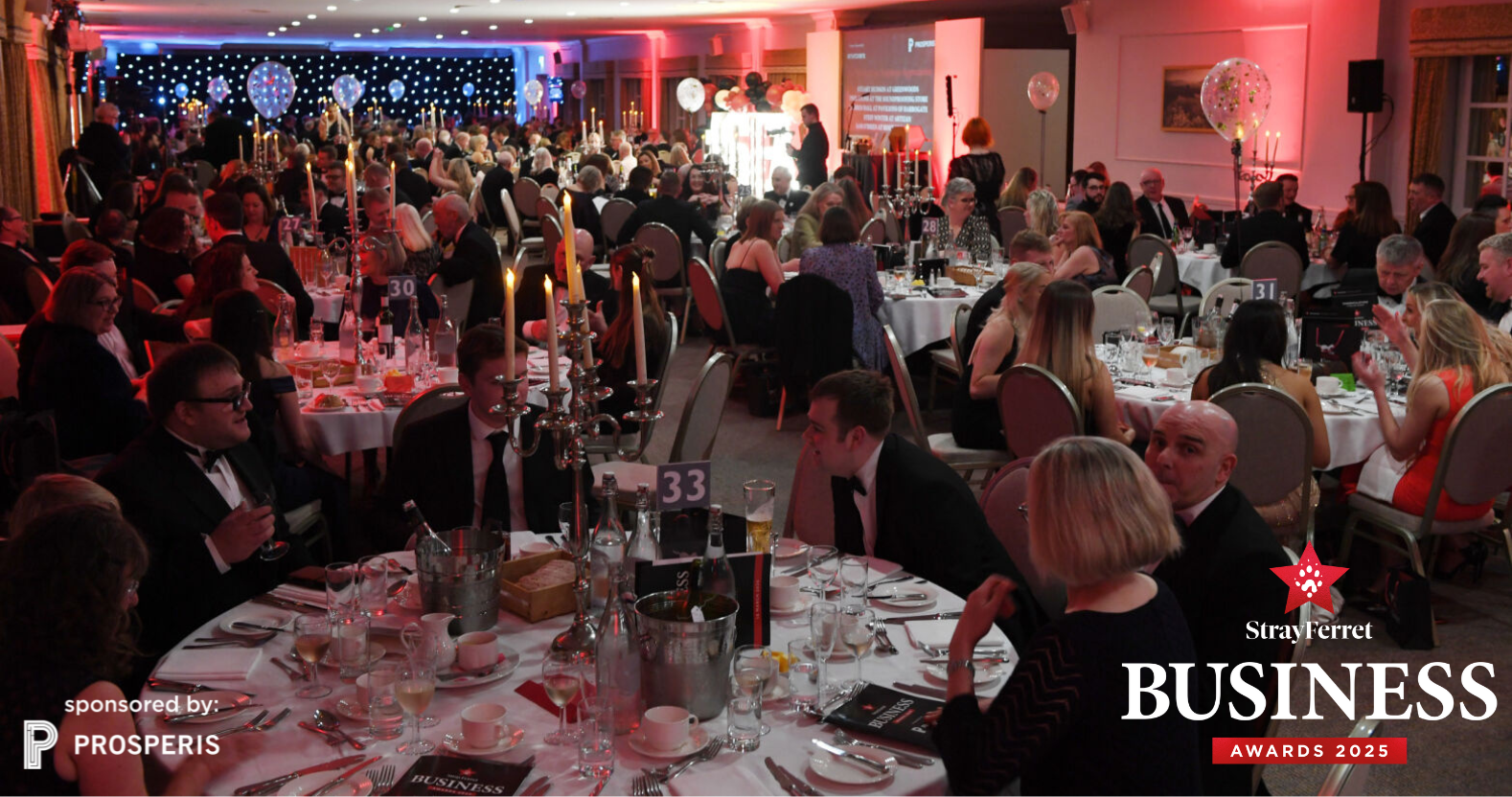 Stray Ferret Business Awards 2025: meet the finalists for Sustainable Business