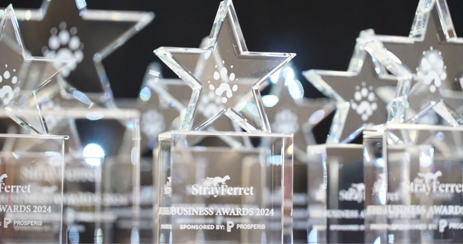 Tension mounts ahead of Stray Ferret Business Awards tonight