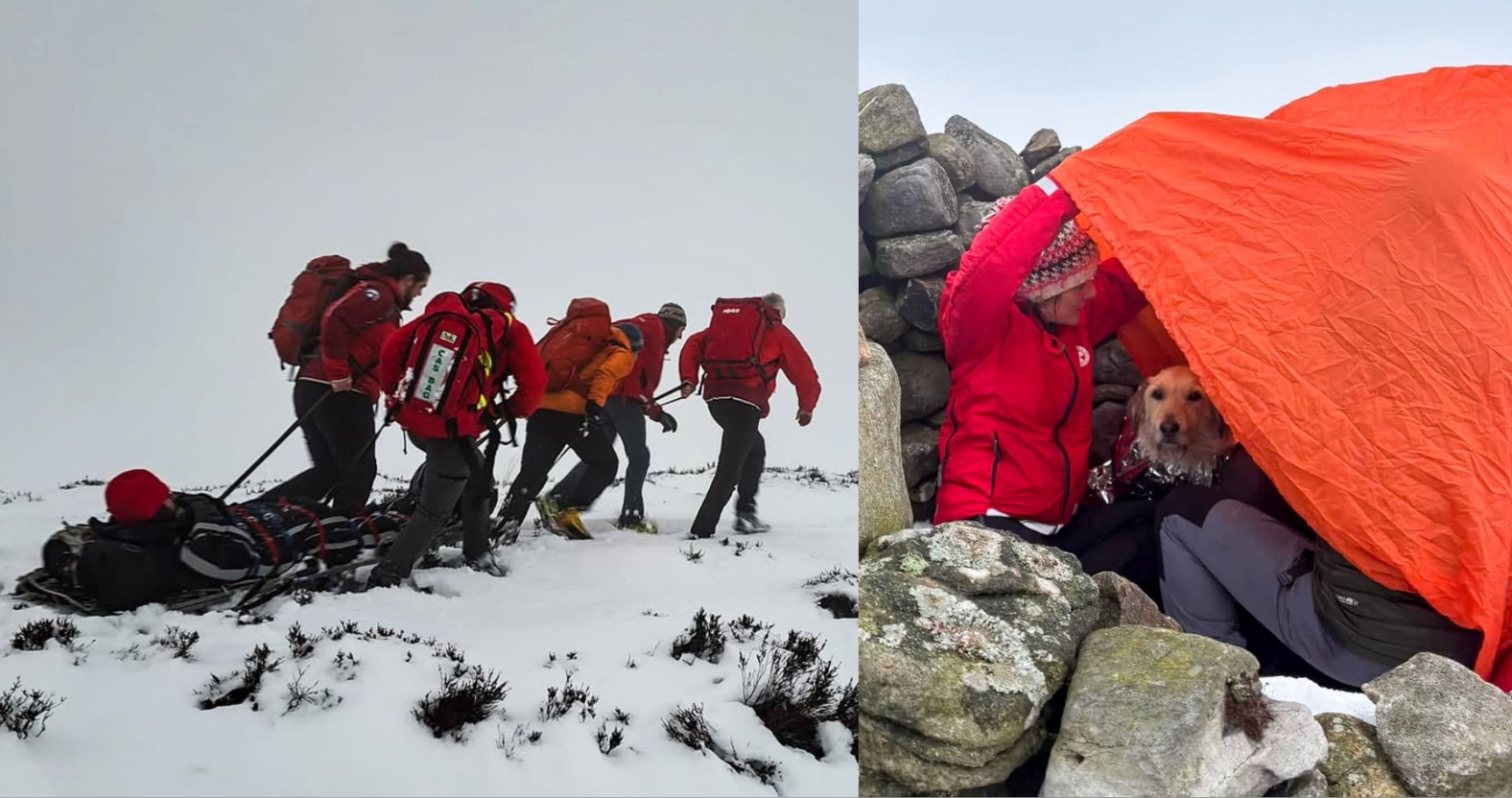 Man and dog rescued on Timble Moor