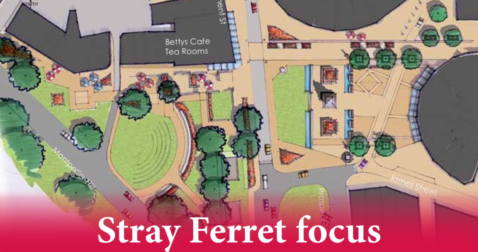 Stray Ferret Focus: How we followed up a reader's tip to learn a lesson ...