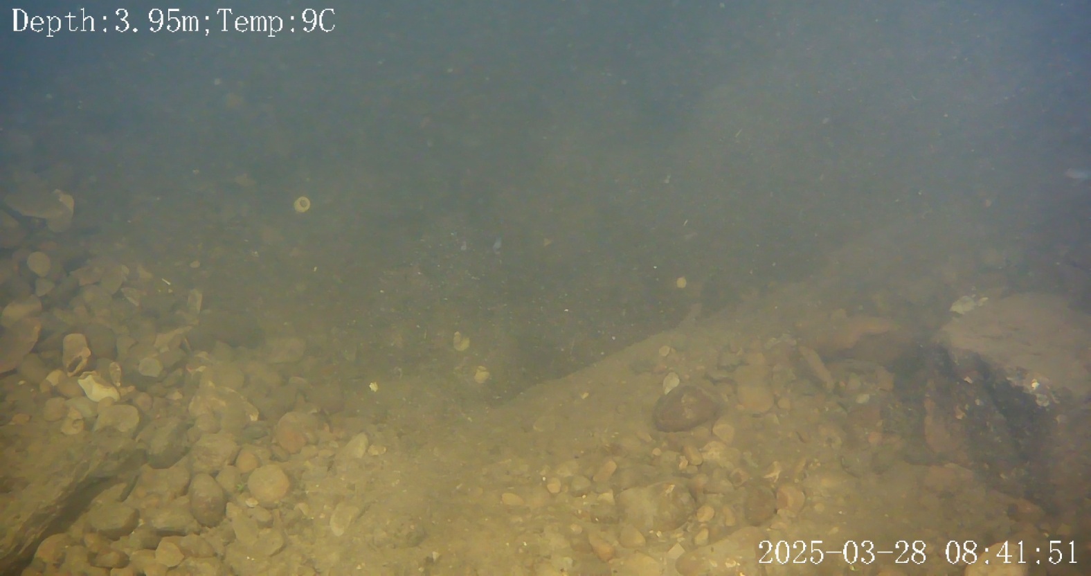 'I know what this is' – father tells how his son discovered huge German ...