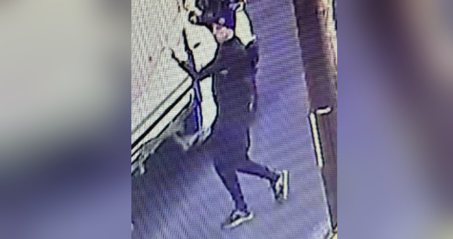 Police seek man over Knaresborough ladder theft