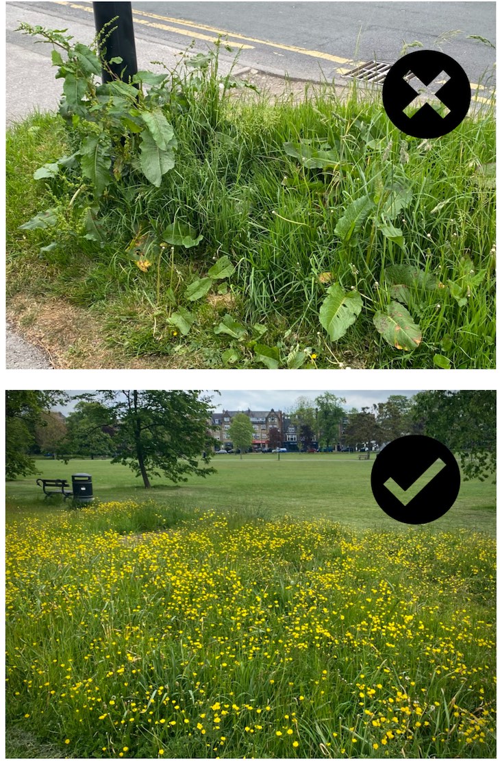 Readers' Letters: Rewilding in Harrogate is okay - but not everywhere